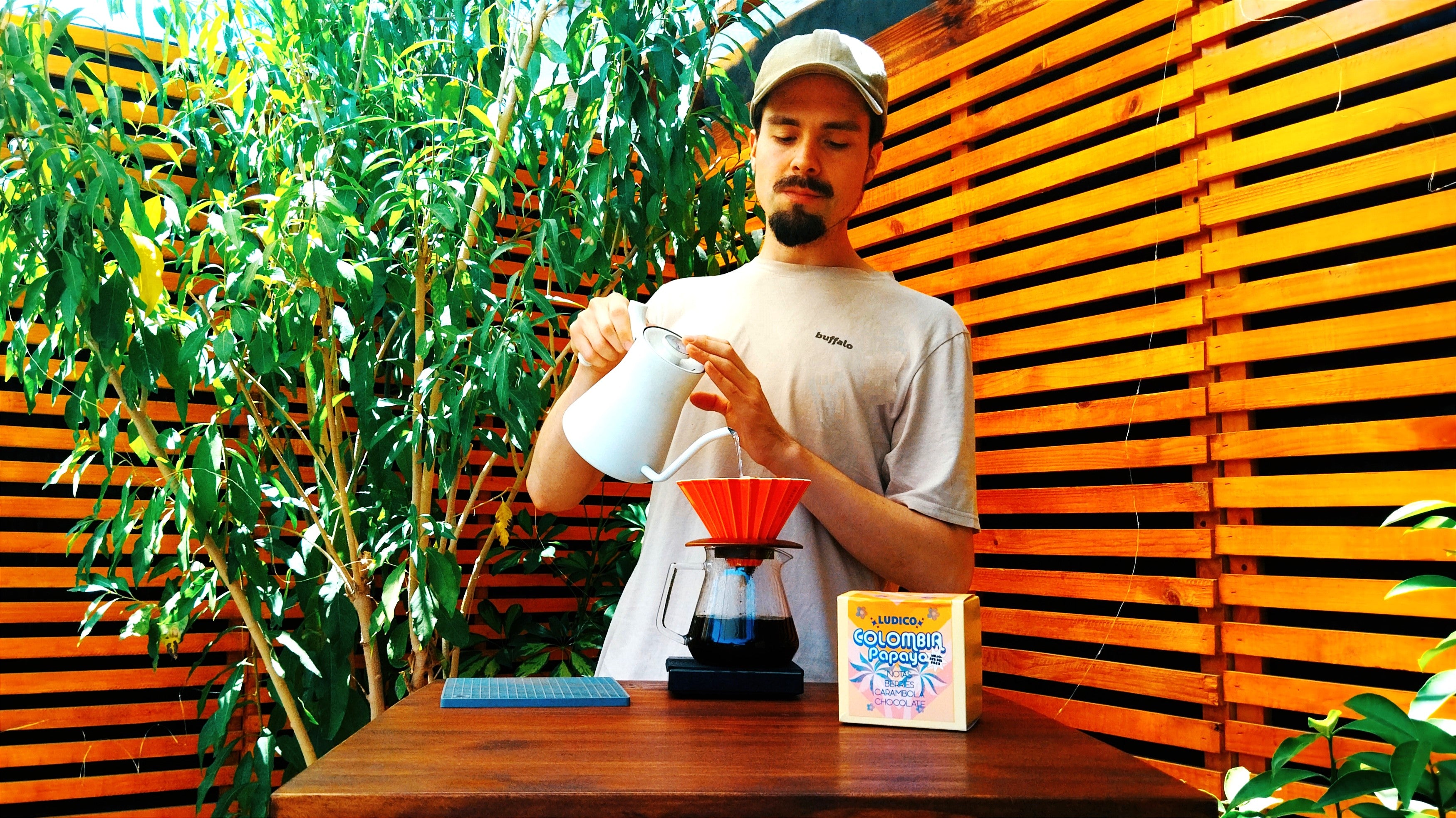 Receta Papayo Origami – Lúdico Tostaduría